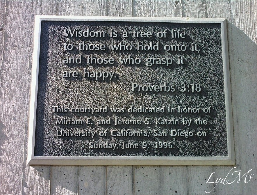 Celebration Shout Out: The Stuart Collection at UCSD