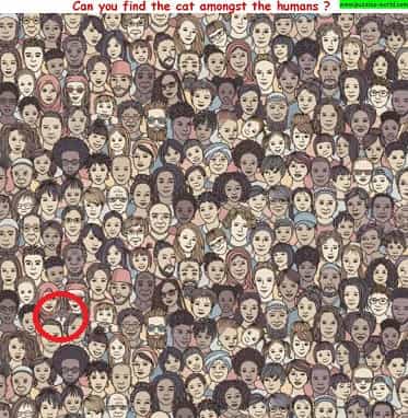 Can you find the Cat? | Puzzles World