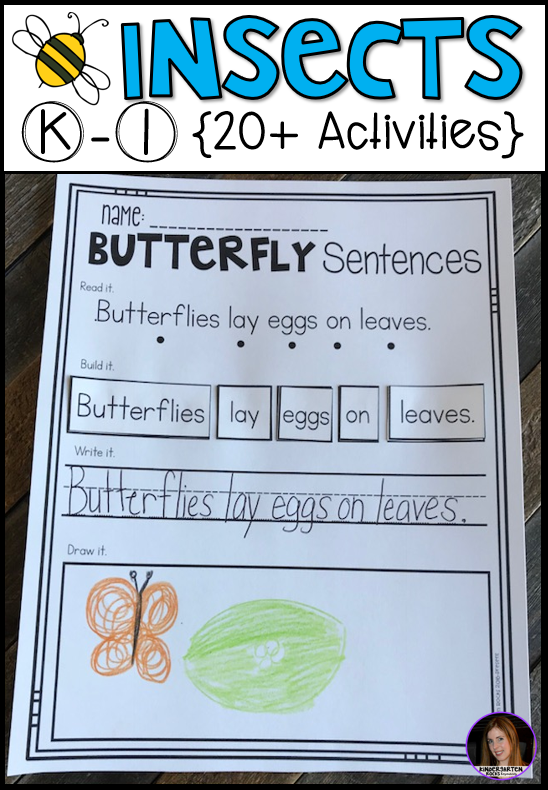 Insects {20+ Activities} for Kindergarten - Kindergarten Rocks Resources