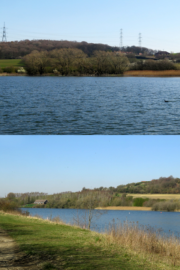The Language of Stone: A Walk Around Treeton Dyke