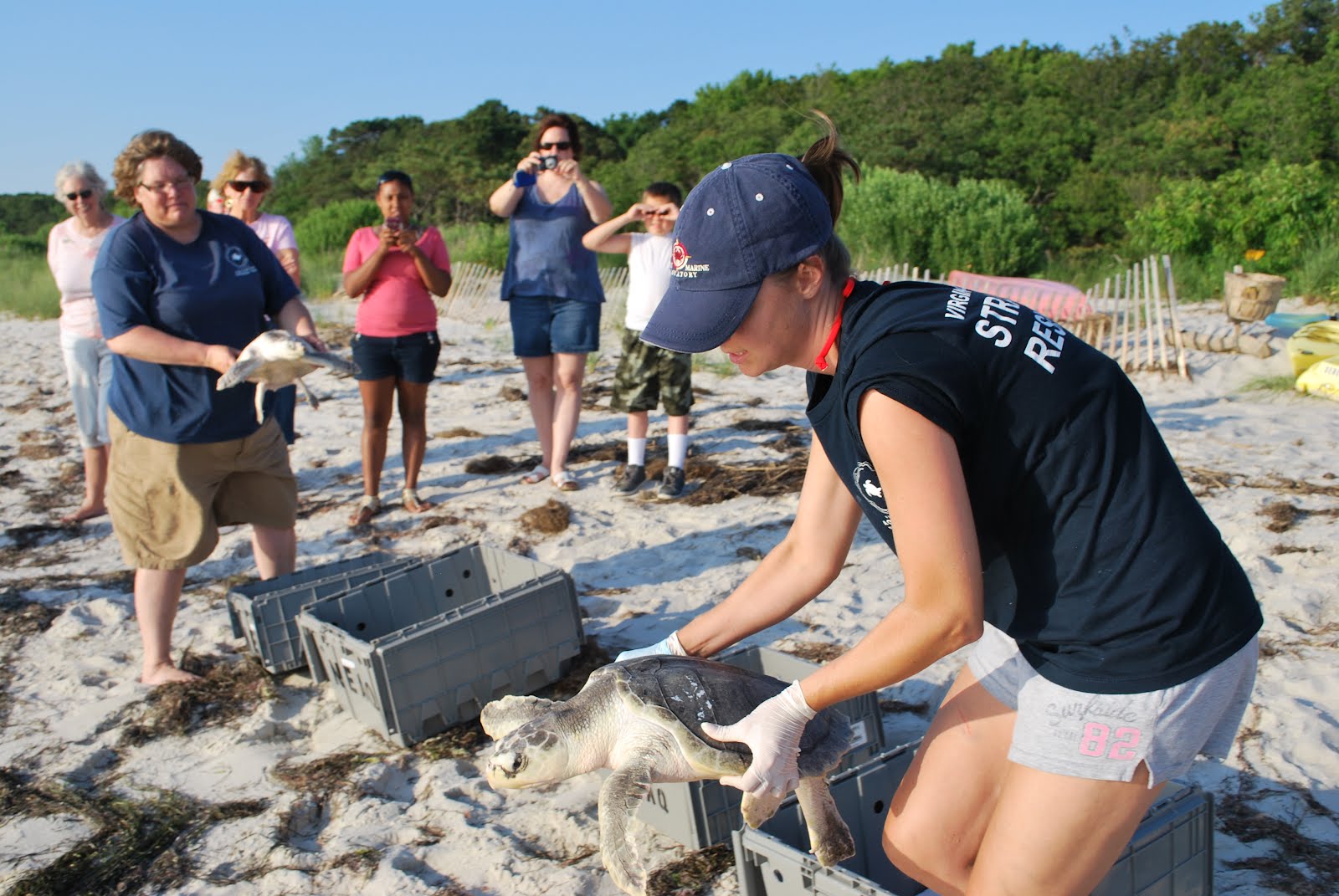 Marine Animal Rescue Team Blog