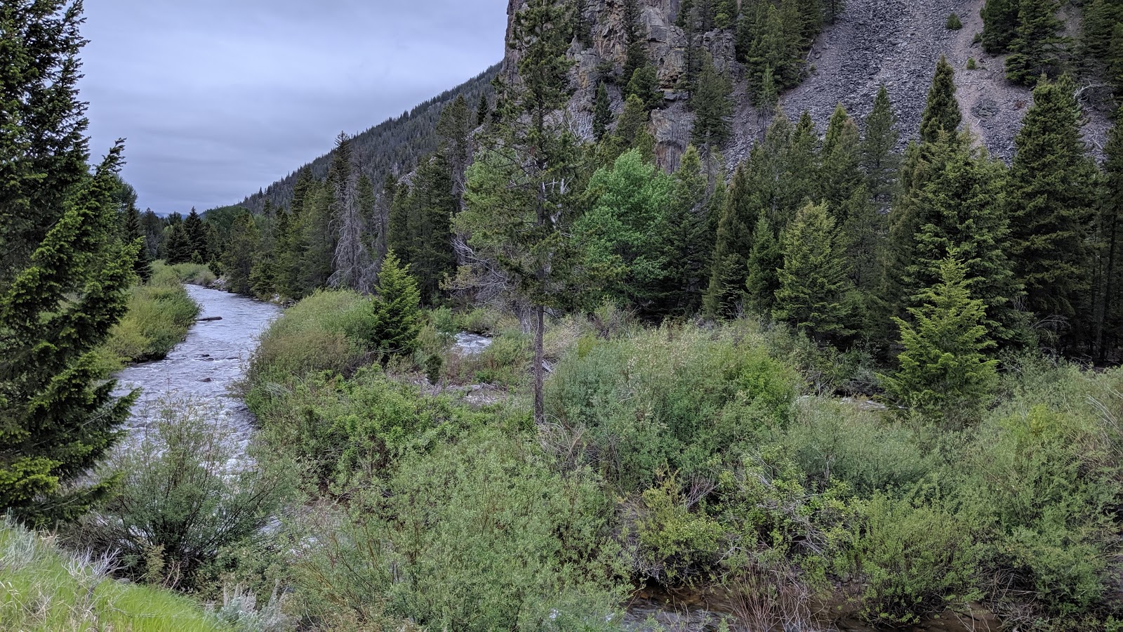 My Two Schillingsworth: Tour Divide '19: Day 9 - Wise River to Montana ...