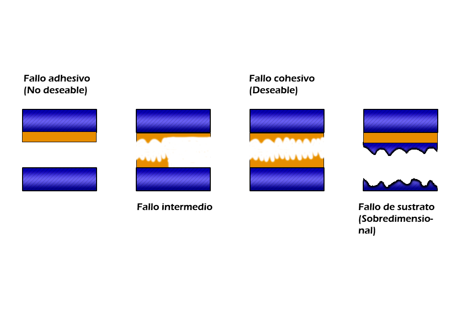 Adhesión y cohesión