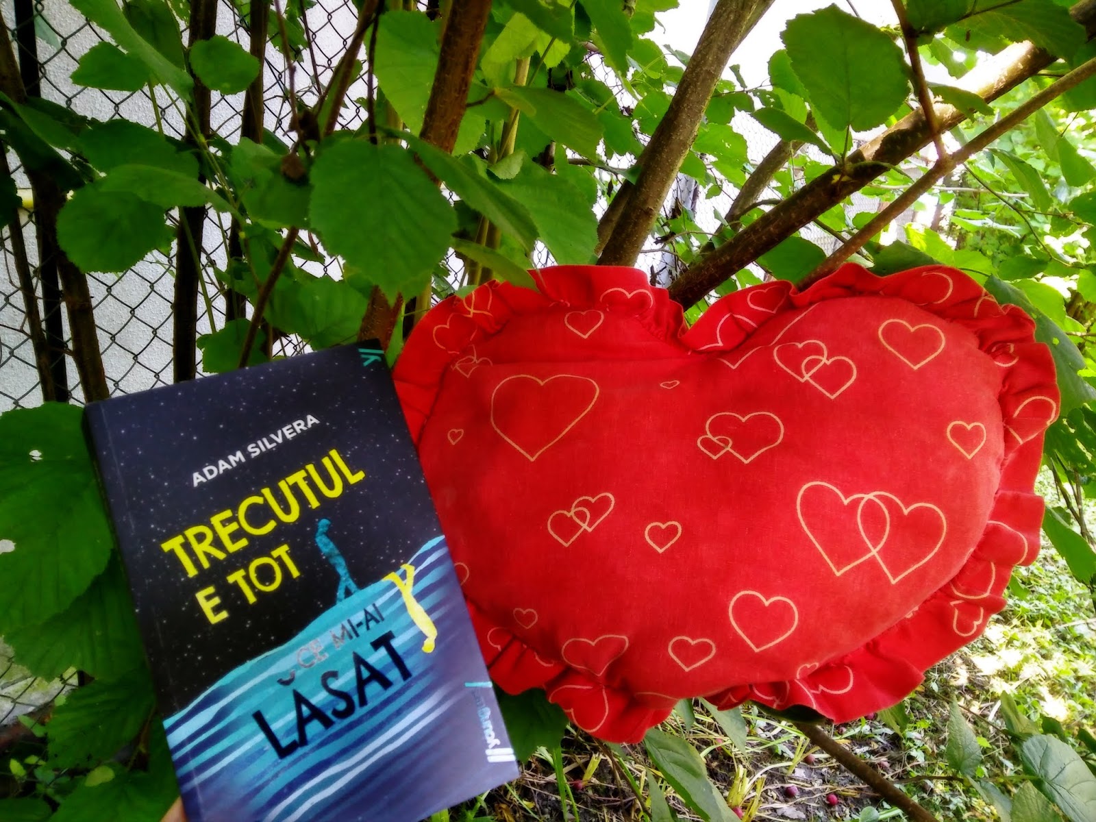 Recenzie: Trecutul e tot ce mi-ai lăsat de Adam Silvera - Twistinmysobriety