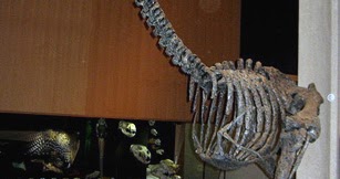 Synapsida: Deadly Demon Ducks of Doom