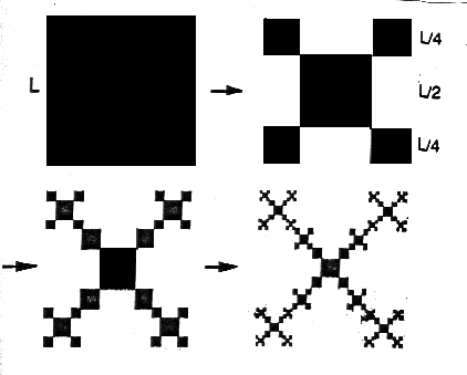 Carjan Andreea: The Rhythm of Physics: Fractalii