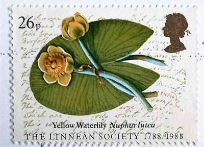 Mail Adventures: Sunday Stamps | Yellow Flowers