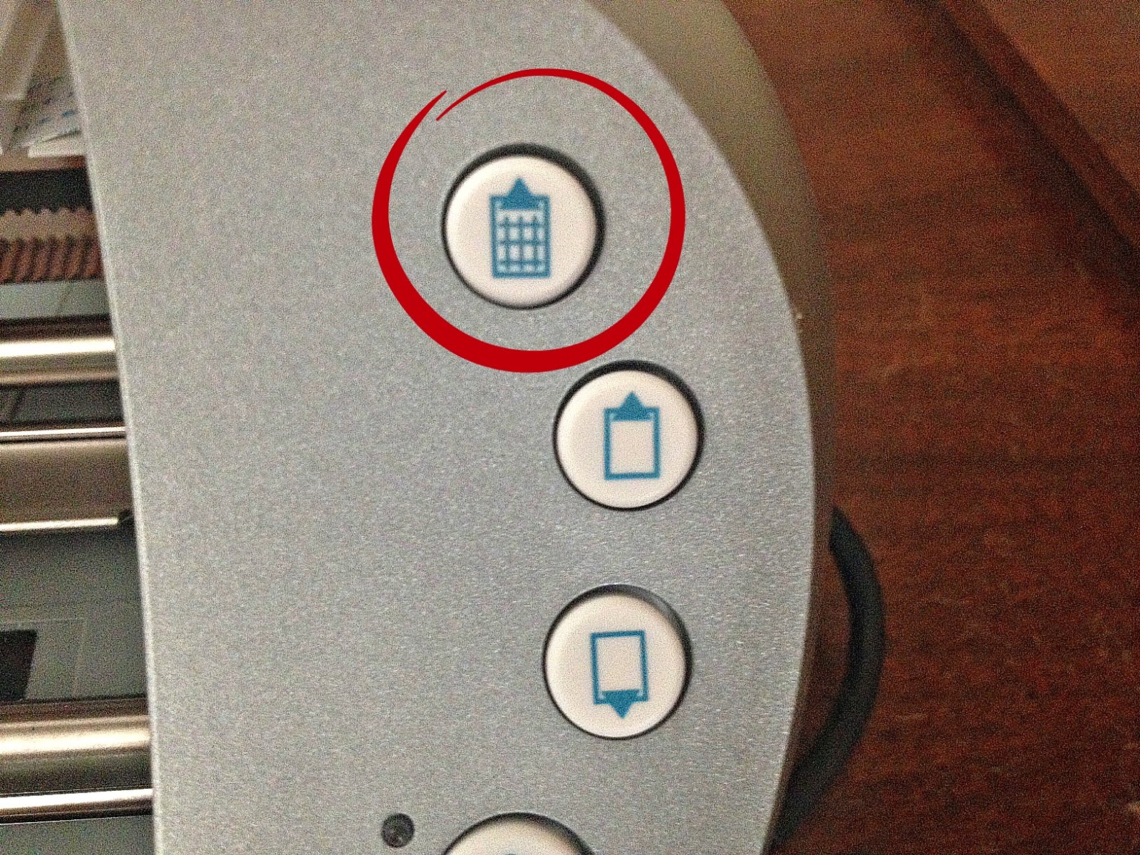 Silhouette cutting above the gridded area? How to fix it (on Portrait ...