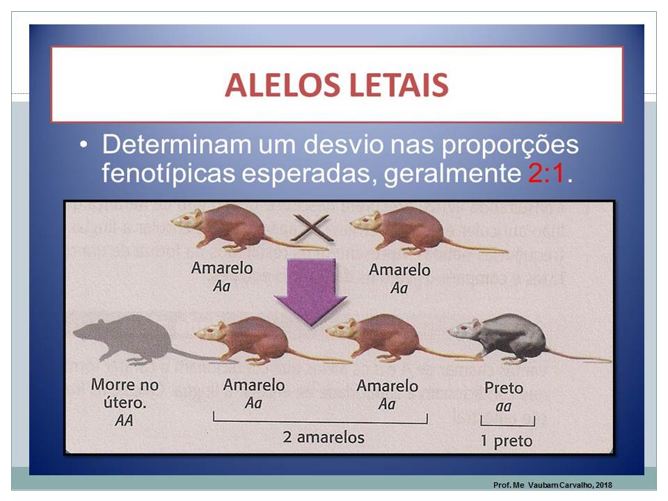 ENSINO GENÉTICA FAMASUL: EPISTASIA, PLEIOTROPIA E ALELOS LETAIS