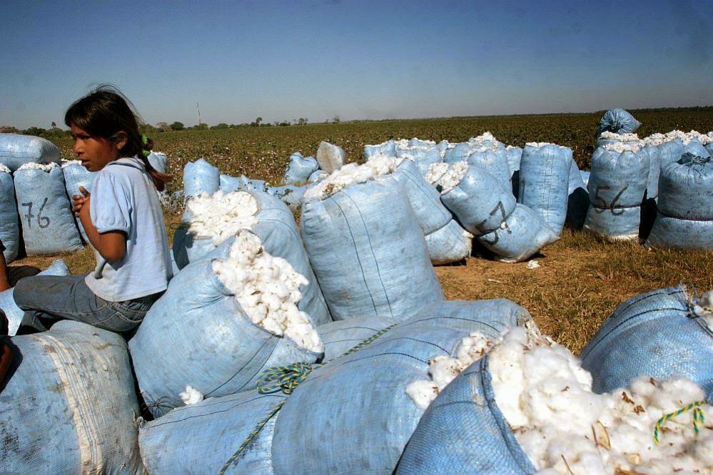 Klub patchworku Zilina: Bavlna