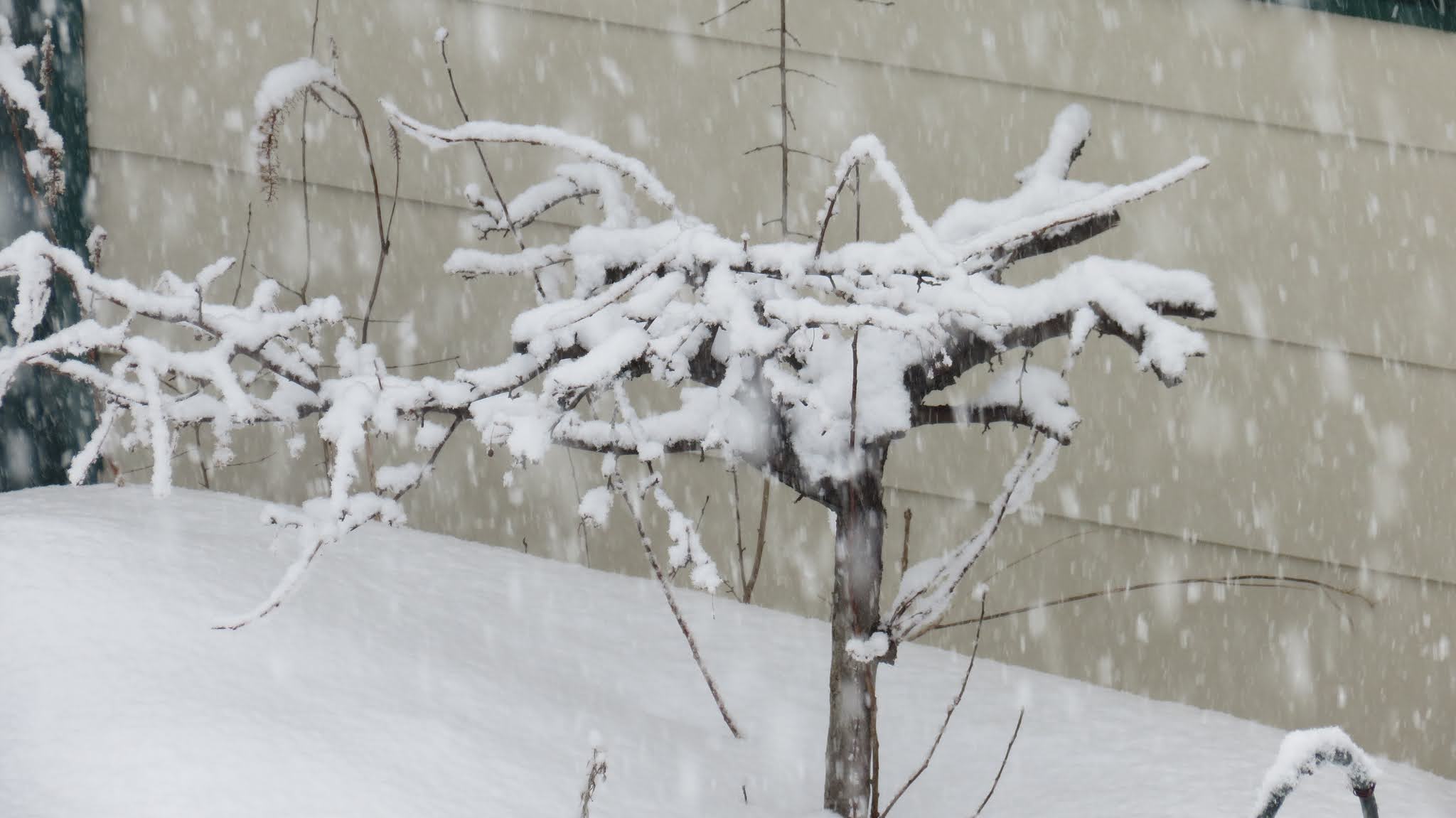 Zigzag de photos: Quand il neige sur mon pays