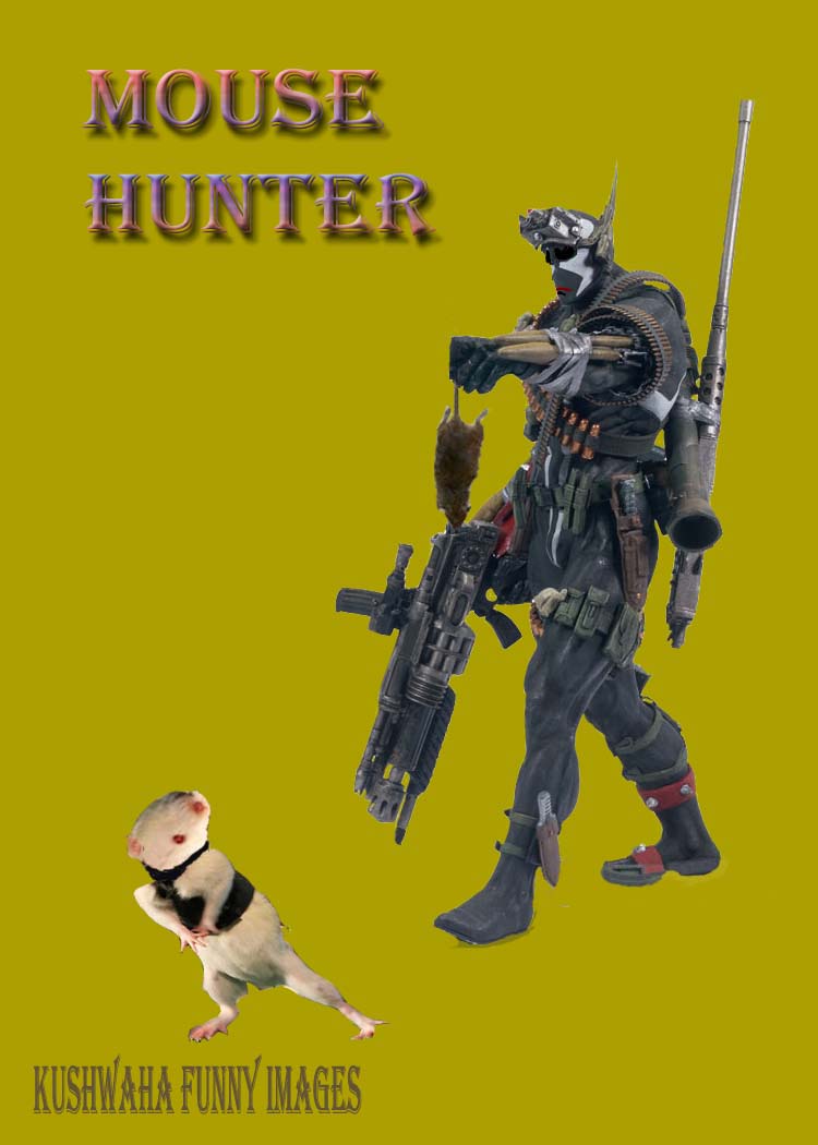 Facebook funny images orkut funny scraps images greetings: Mouse Hunter