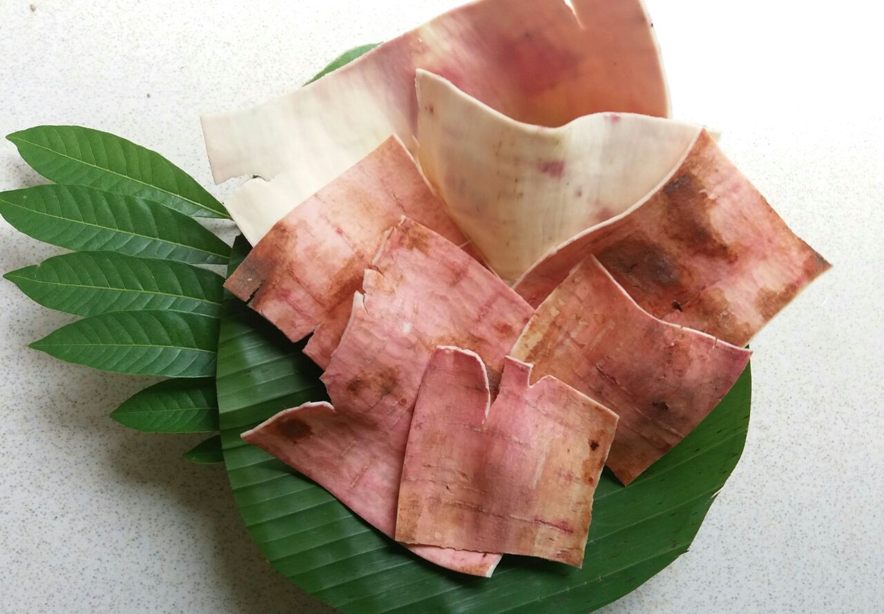 Kripik Kulit Singkong