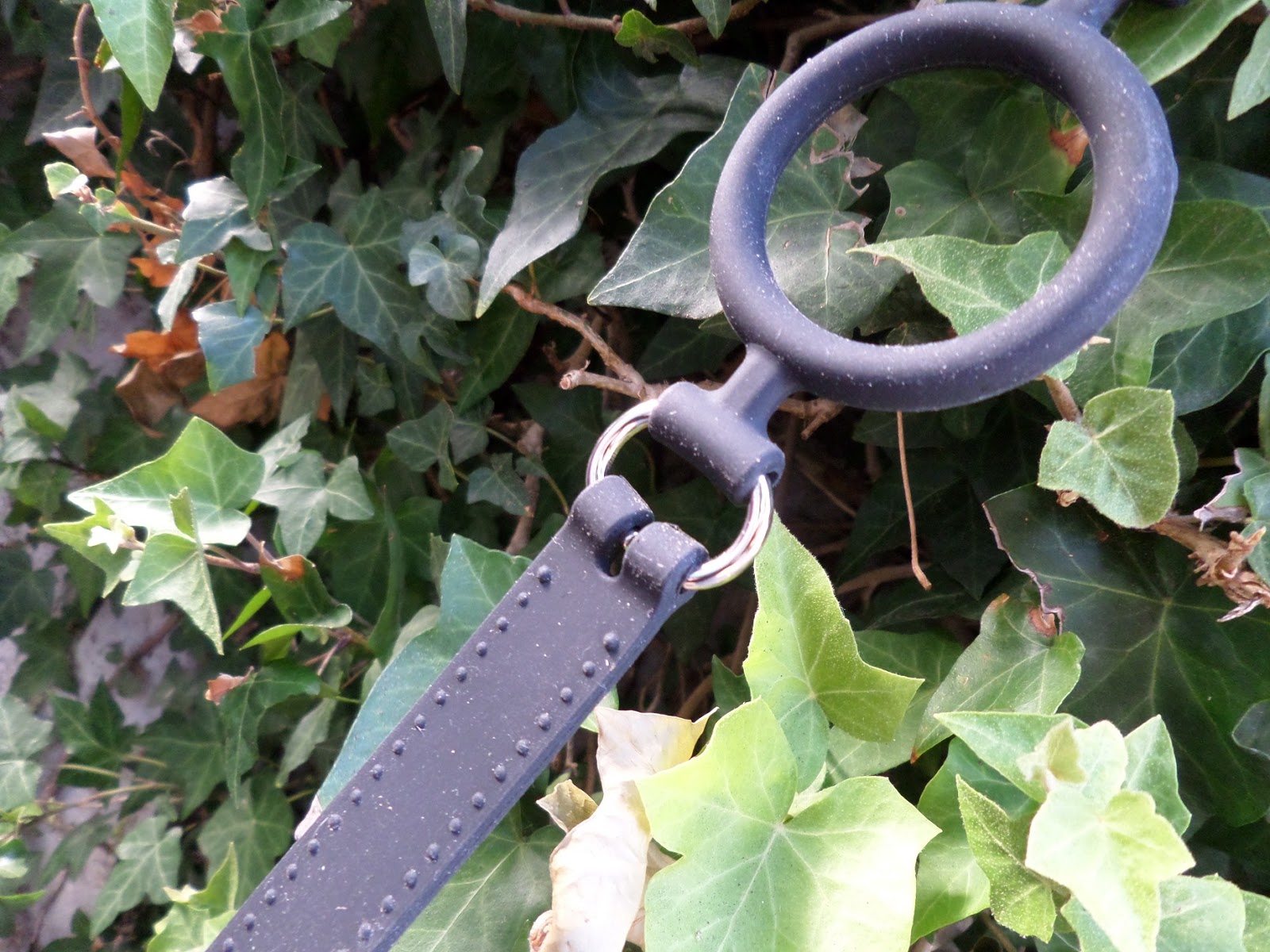 Review: MEO Wet & Naughty Silicone Ring Gag - Oh Glow