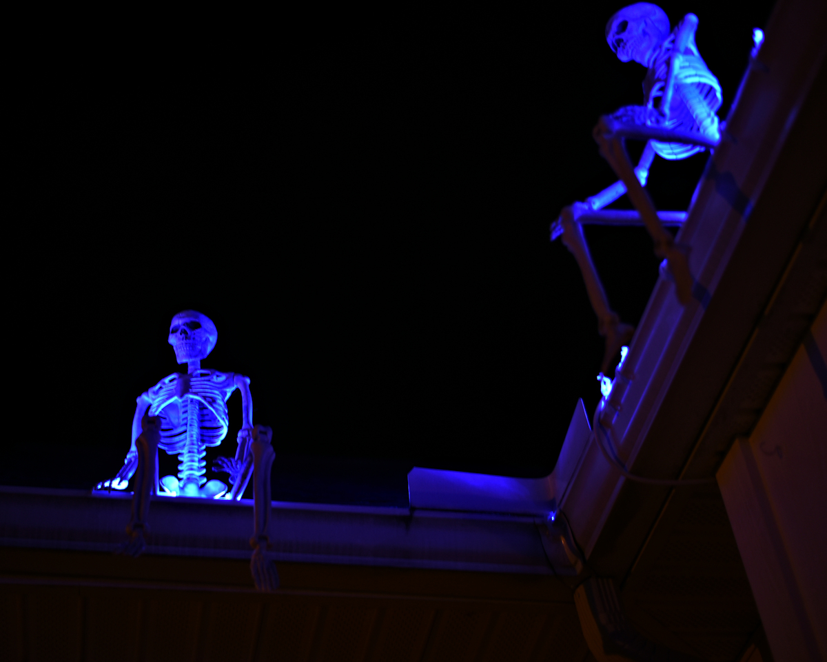 Haunted Eve's Halloween Blog: Ghostly Skeletons Sitting On The Roof