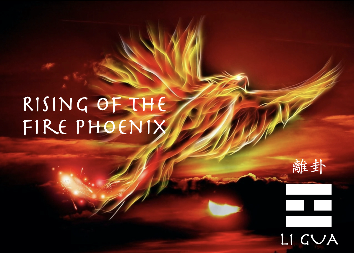 Period 9, The effects of Purple Star 9 (2024-2043)