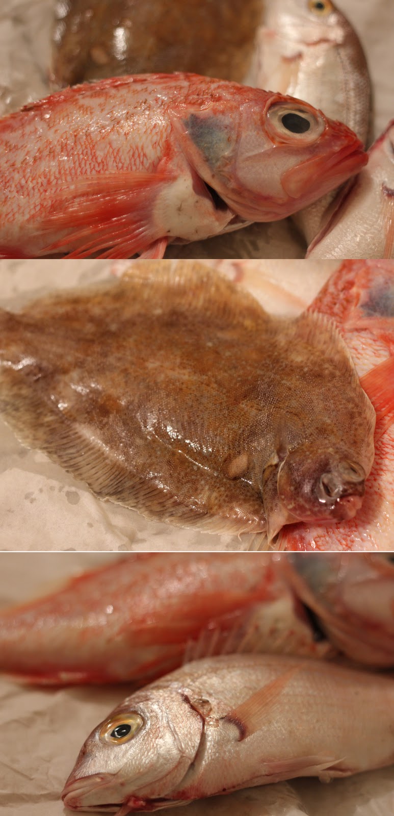 North by Sud-Ouest: Woke up this mornin...