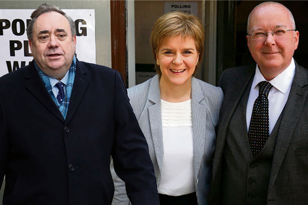 Lily of St. Leonards