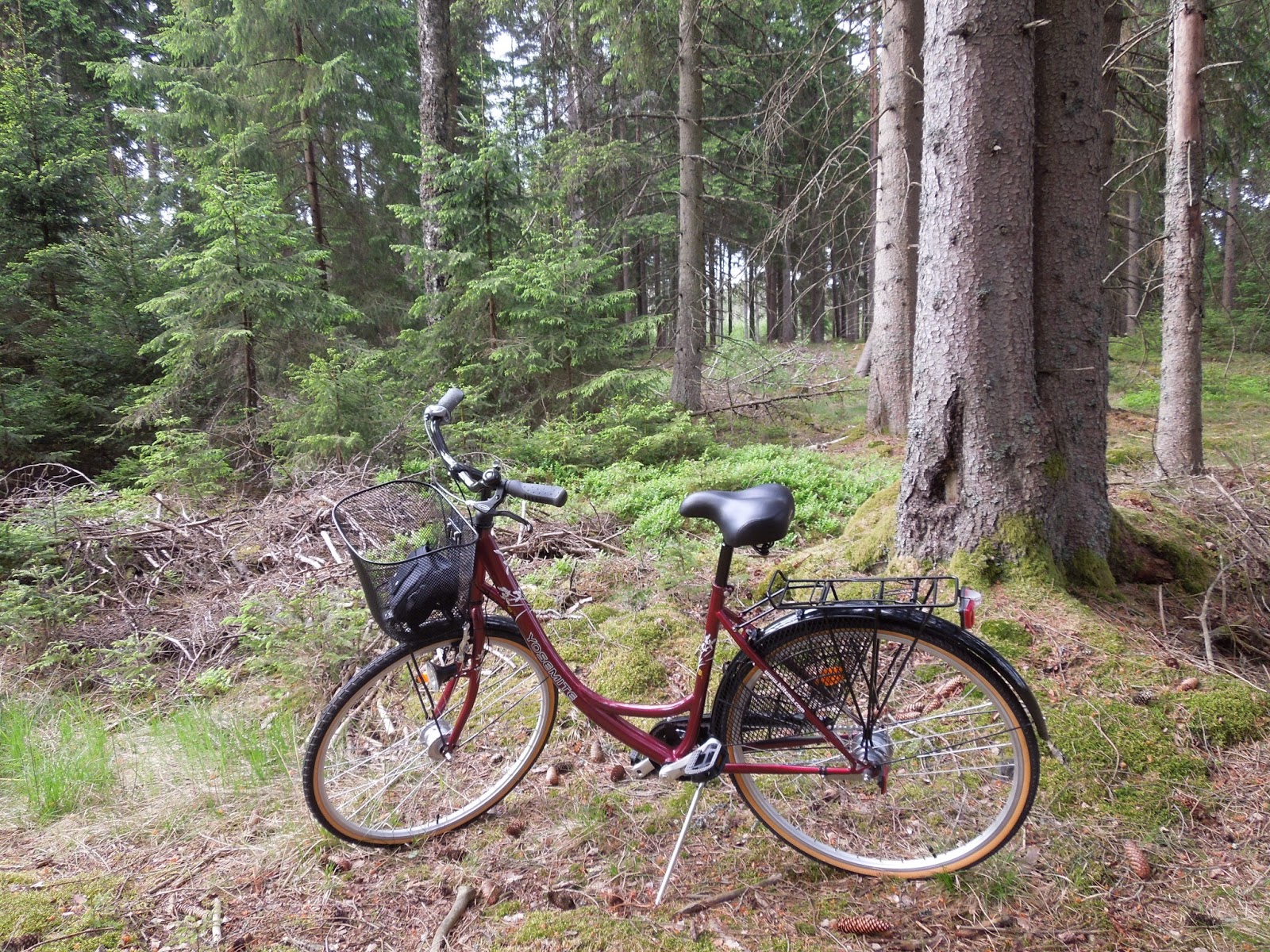 Ingas tankställe: Blommor och sång