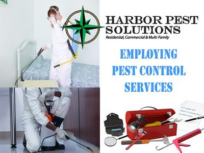 The Cheapest Methods of Pest Control Around