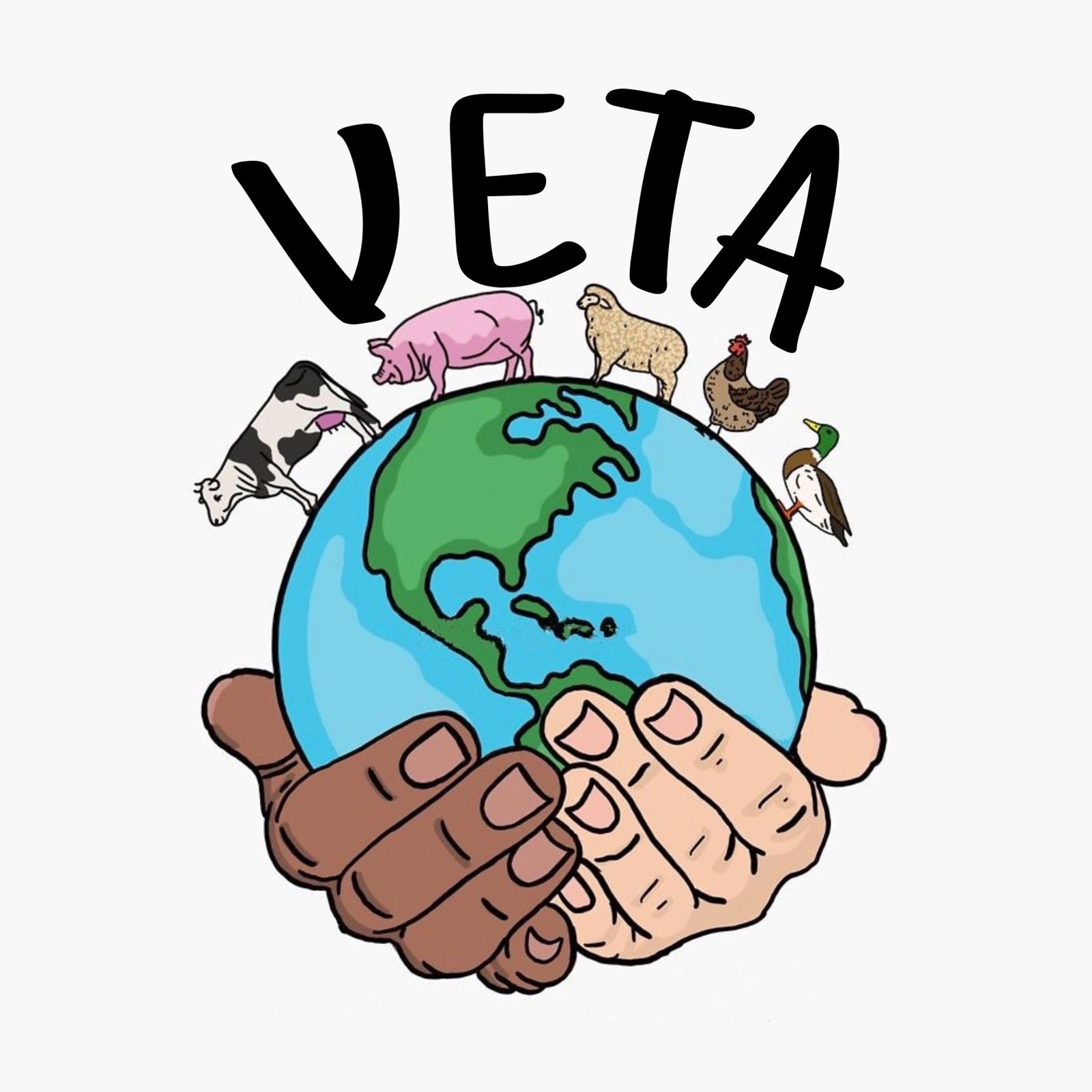 VETA: ¿Qué significa VETA?