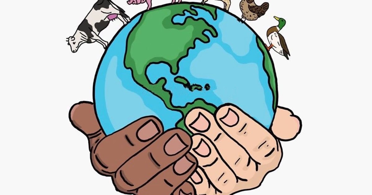 VETA: ¿Qué significa VETA?