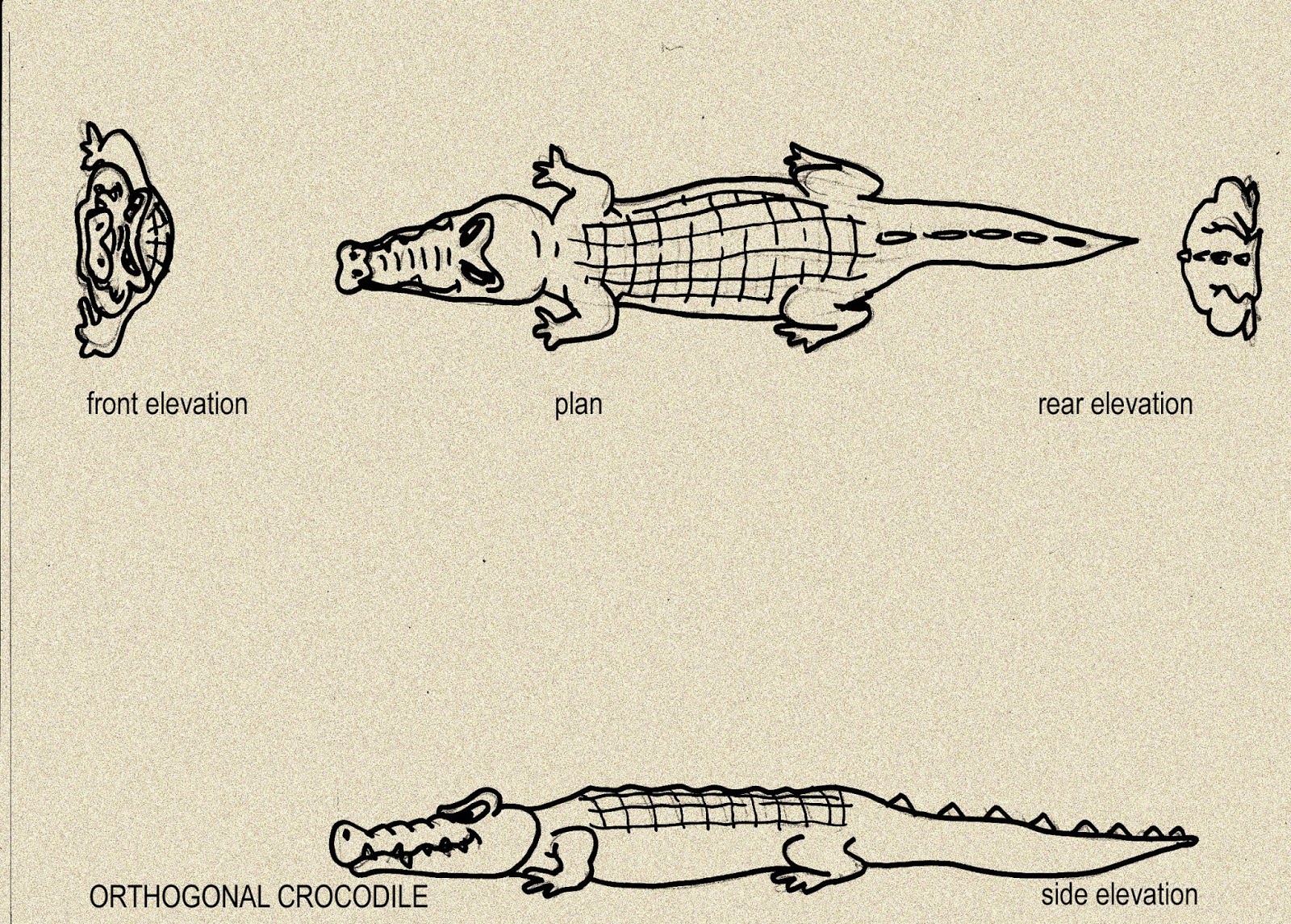 StudioSenthil: Orthogonal Animals