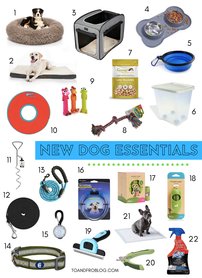 New Dog Essentials & Our 'Pandemic Puppy' Story | To & Fro