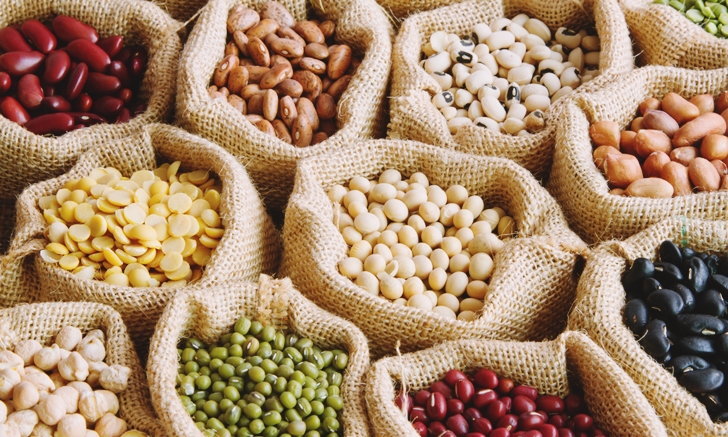 Known for "Aflatoxin", the carcinogen found in nuts - Cambo TV