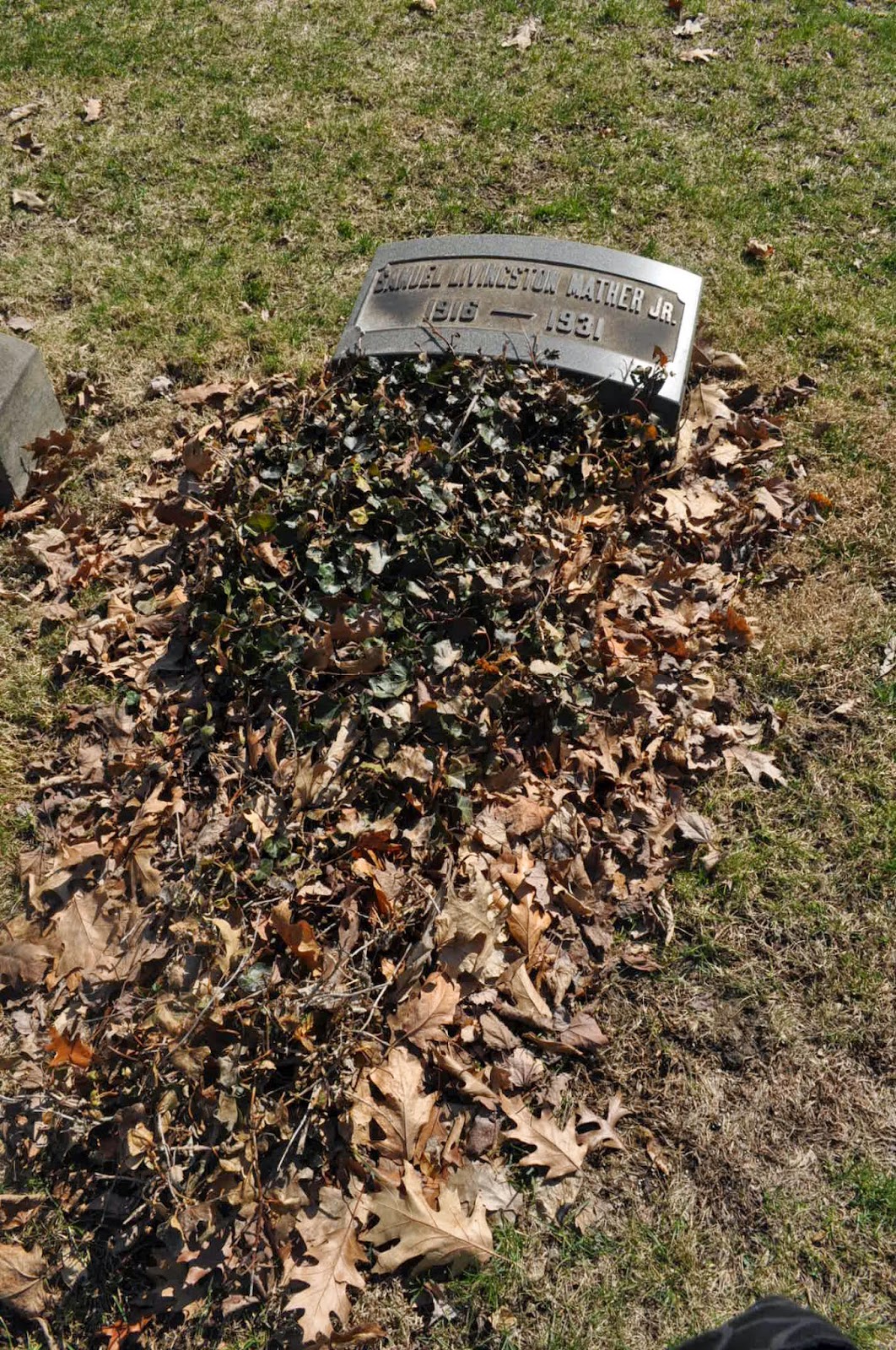 Amasa Stone - Ashtabula Train Disaster - Chestnut Gove Cemetery - Lake ...