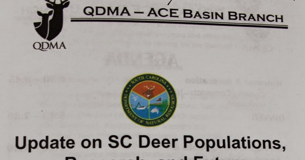 Qdma Logo