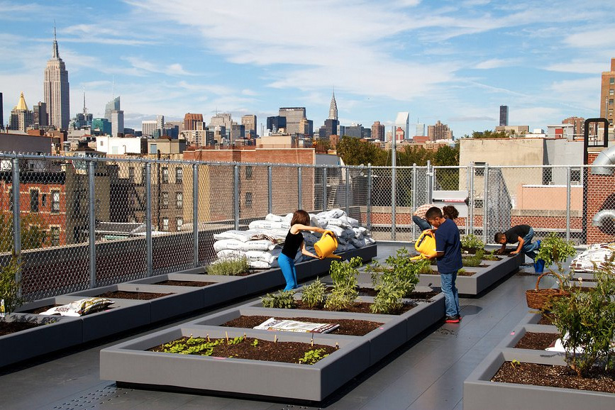 EV Grieve: Cool for kids: Schools unveiling the new rooftop garden on ...