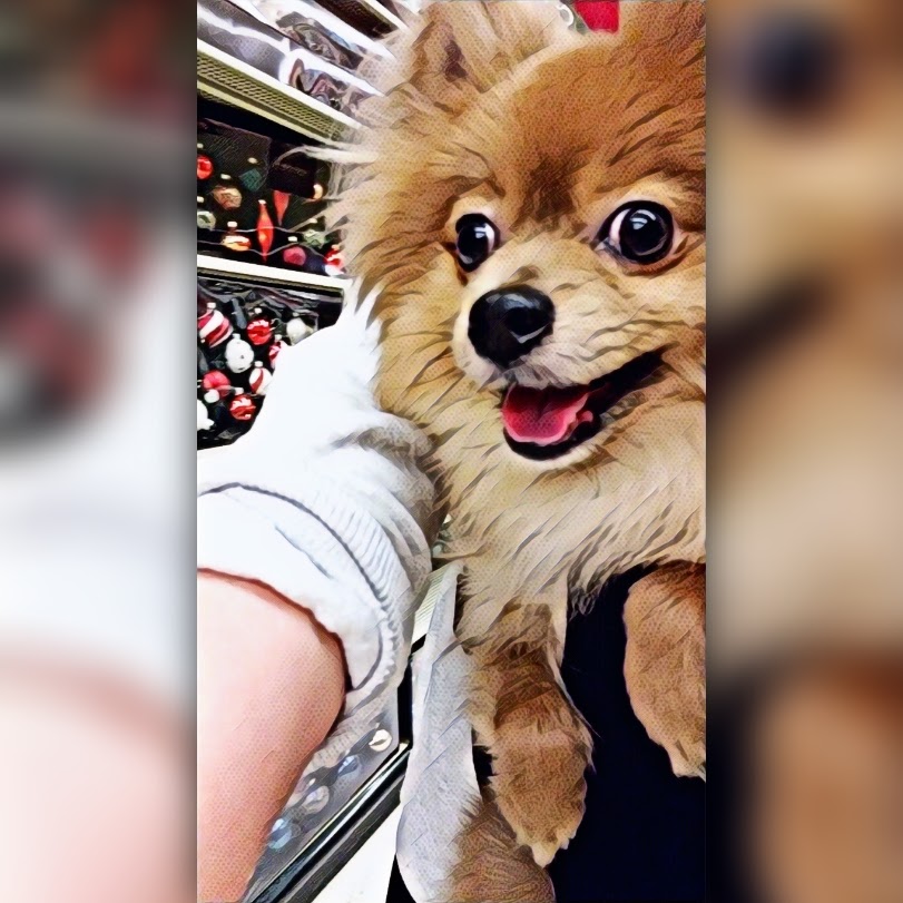 'The Next 365 Days' Book Vs. Movie Ending: How Different Is It ...