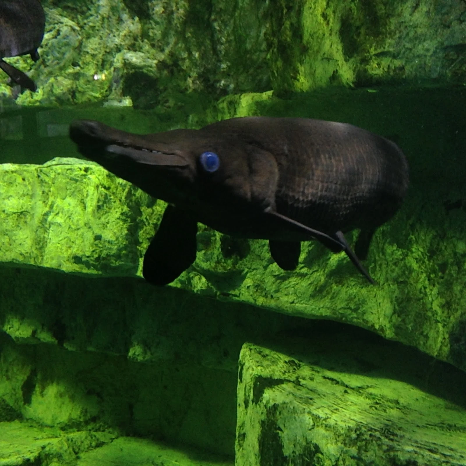 L'aquarium de Lyon - Visiter Lyon - Tourisme et actualités