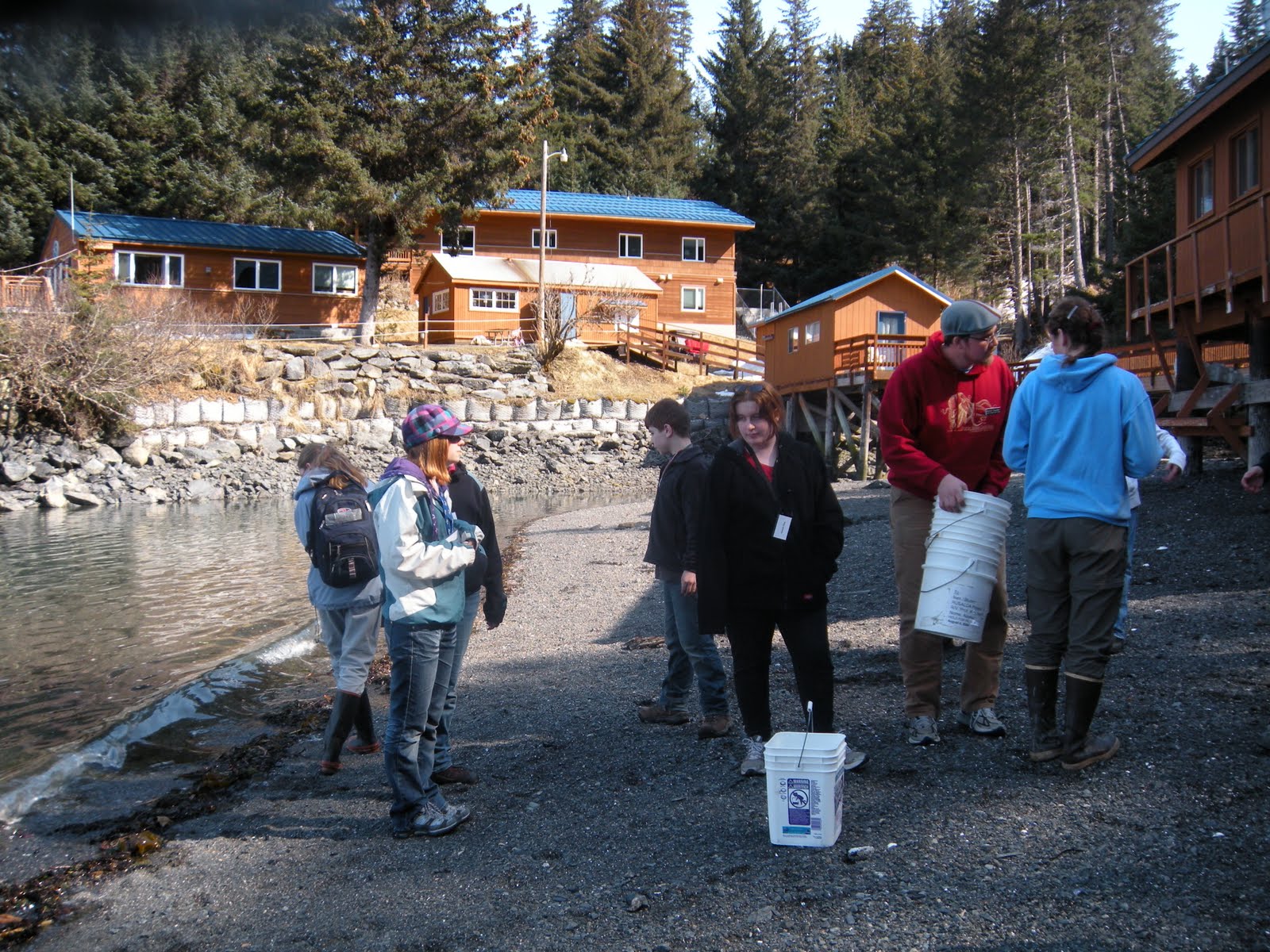 Life in Alaska — A View From Homer: Kasitsna Bay Laboratory & Research ...