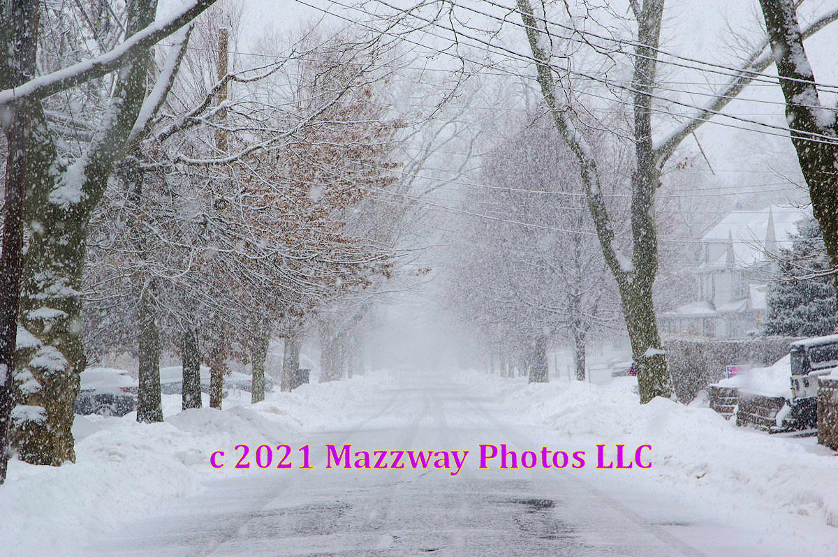 Bogota Blog NJ: Sunday Snow