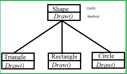 What Is Polymorphism In Oop