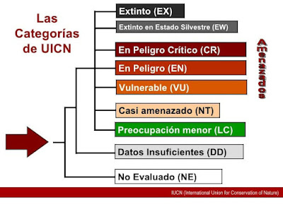 Biodiversidad en la escuela: 2021. UICN. Clasificación internacional de animales en peligro de ...