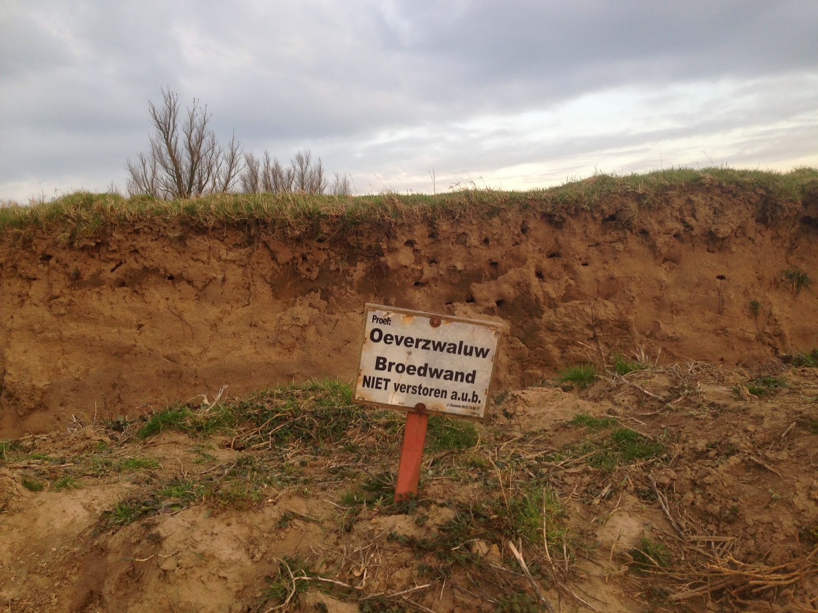 WWAWWW: Middelwaard Vianen