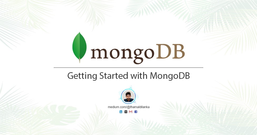 The first step into MongoDB