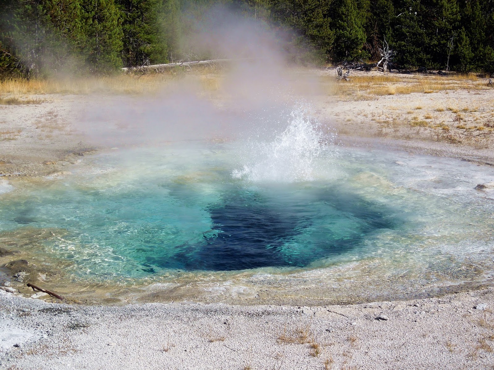 Focusing On Travel : Yellowstone: A Geyser Gazers Guide to the Upper ...