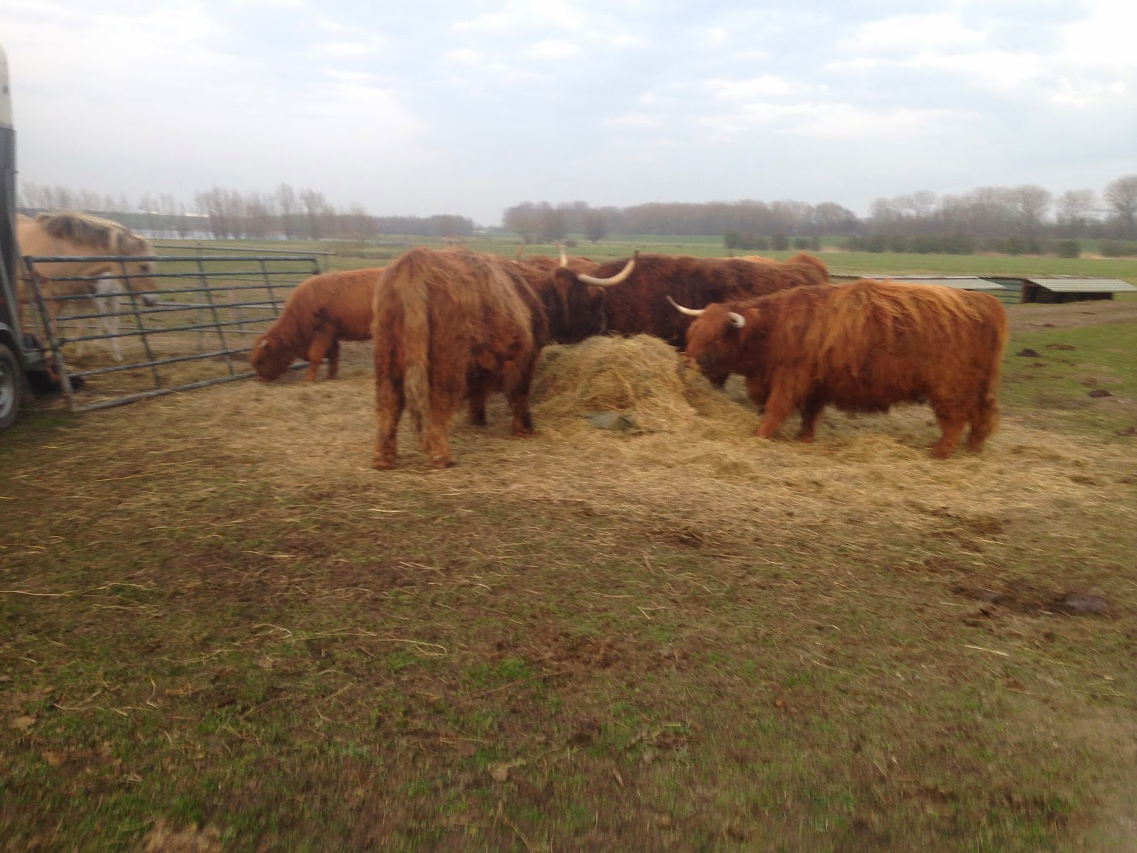 WWAWWW: Middelwaard Vianen