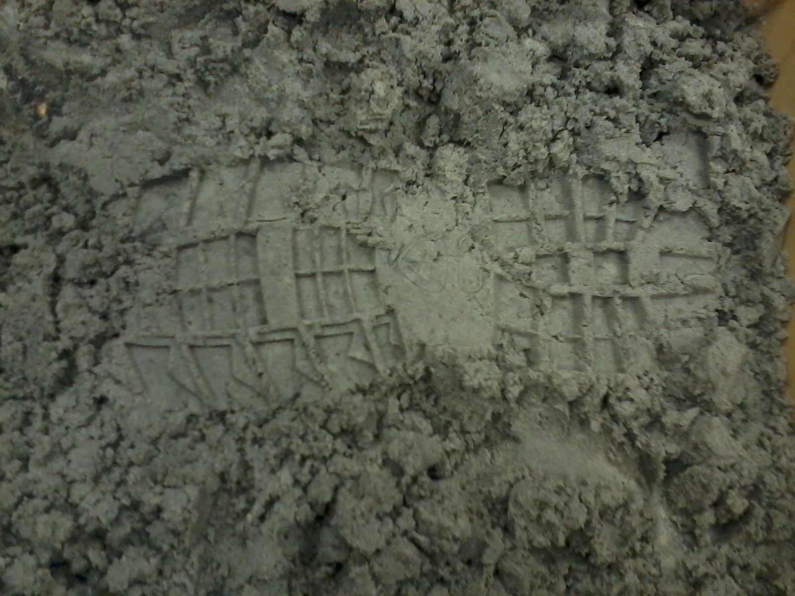 Crime Scene Investigation: Forensics: Footprint