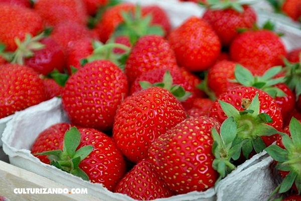 HoyVerde.com: 5 alimentos rojos que son muy buenos para tu salud