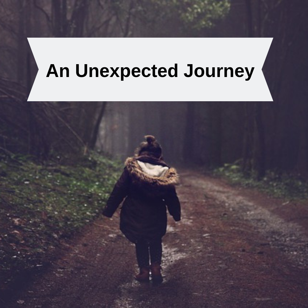 Seekerville: The Journey Continues: An Unexpected Journey Seekerville: The Journey Continues: An Unexpected Journey