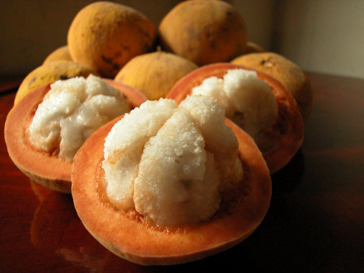 Pa Tan Kanom Thai: Tropical Fruits: Santol (Ka-Thon)