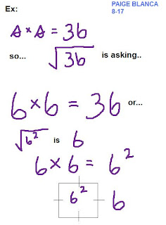 817 Math Blog (2011): Paige's Scribepost