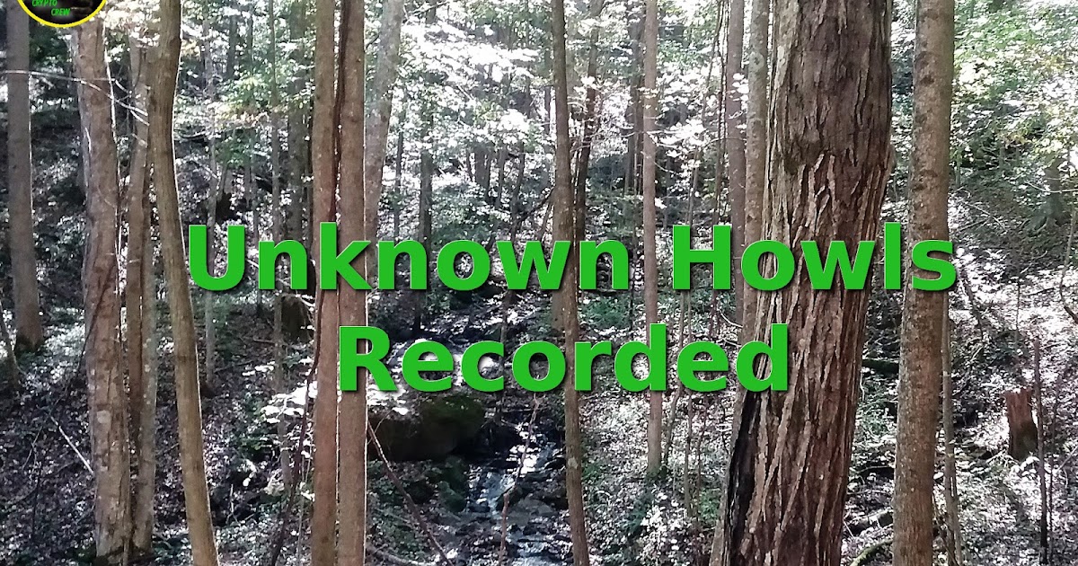 Unknown Howls Recorded in Kentucky ~ The Crypto Crew