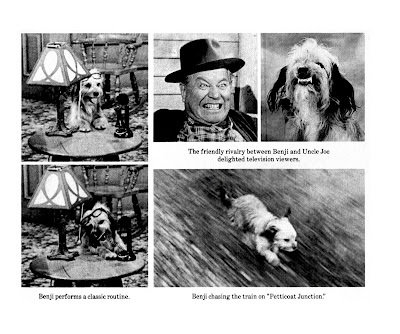 The Phenomenon of Benji - Cult Oddities