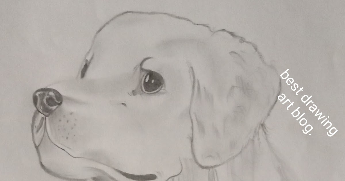 Best drawing art blog